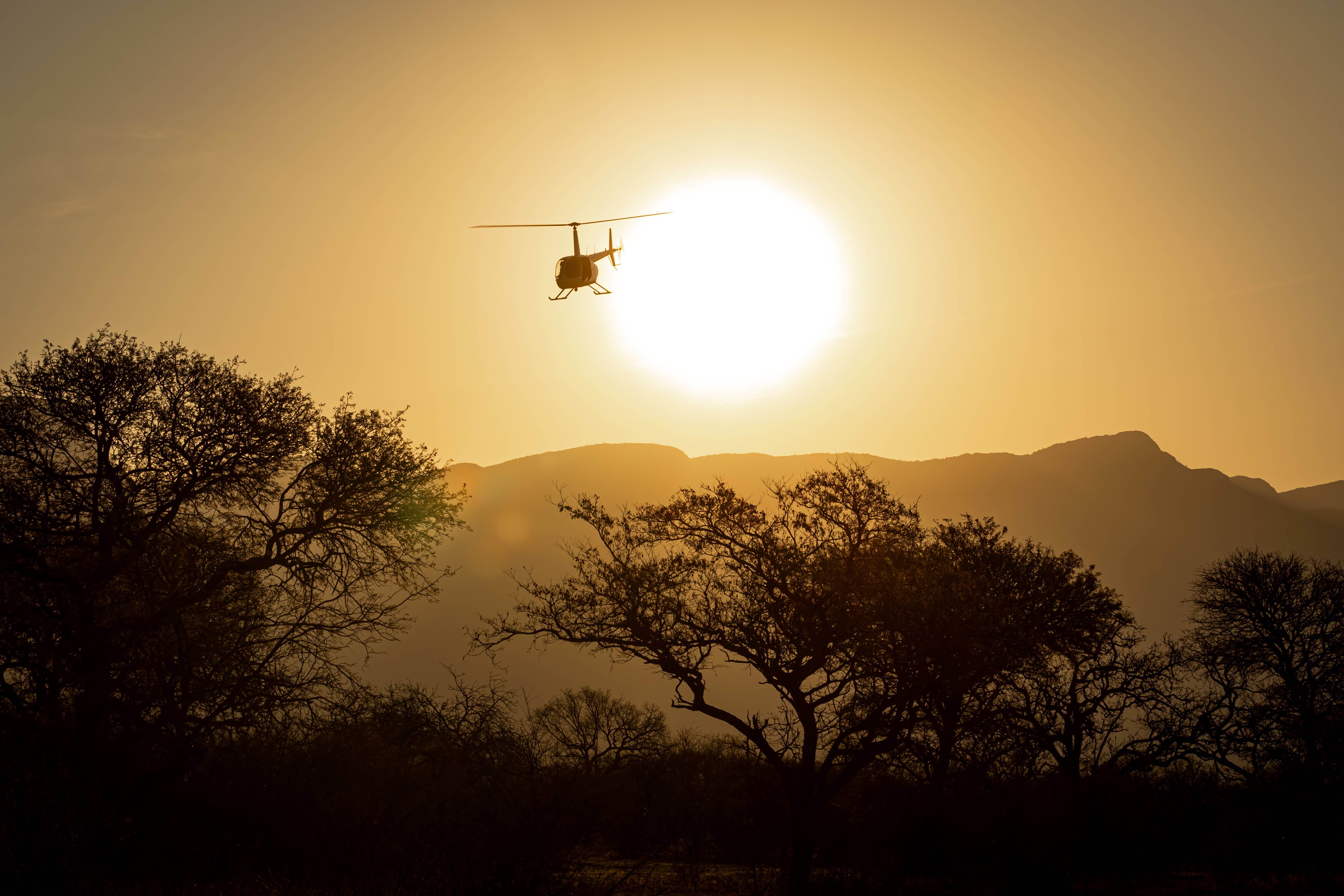 Tactical Tracking for Wildlife Protection | Mehler Systems